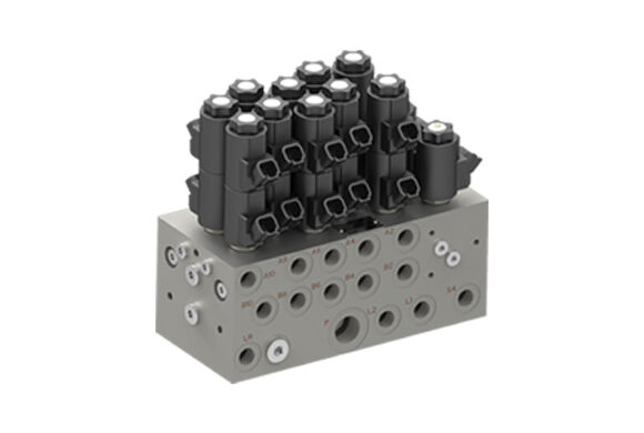 Manifold Blocks
